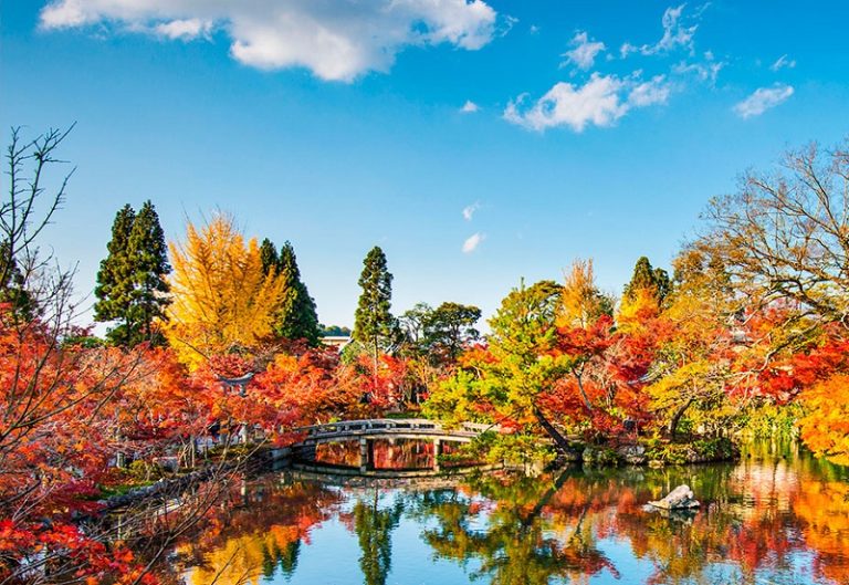 Top 10 Most Amazing Natural Phenomena Only Seen Once A Year