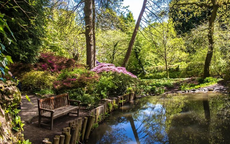 10 Beautiful Places to Visit in Swansea