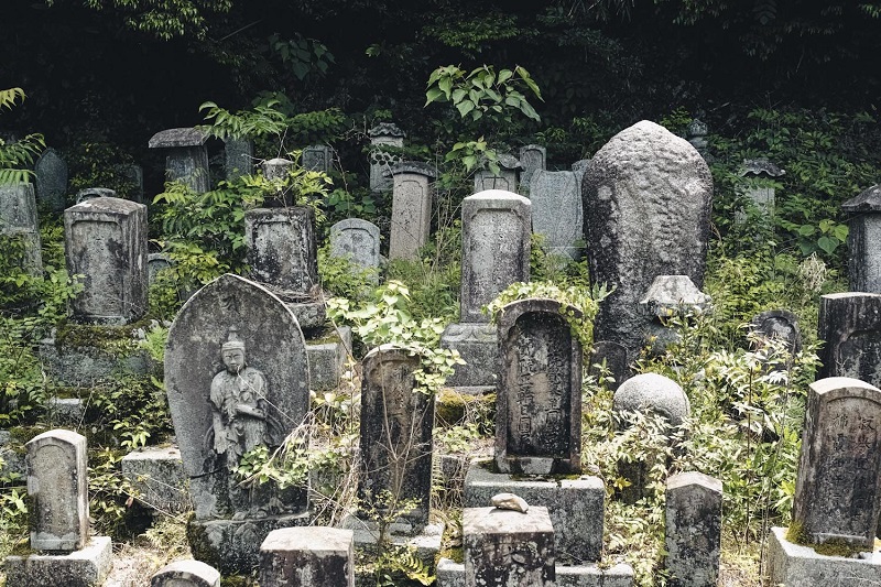 10 Things Japan Is Famous for