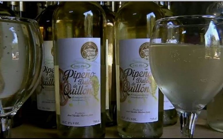 The Most Popular Drinks In Chile