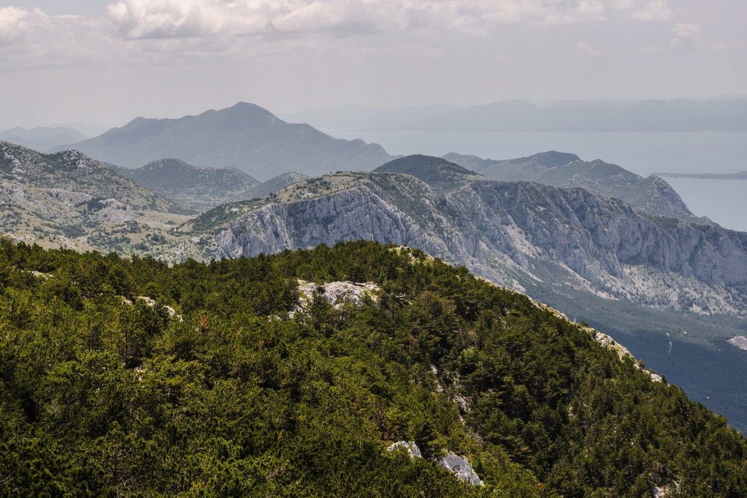 10 Most beautiful forests in Croatia