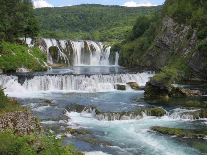 10 Most beautiful forest in Bosnia and Herzegovina