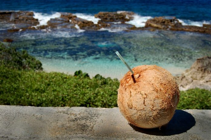 The Most Popular Drinks In Tonga