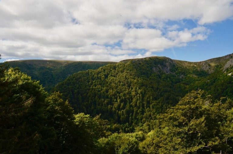 The most beautiful forests in France