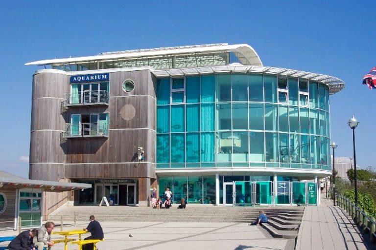 Plymouth With Kids - The Best Things to See and Do With Kids in Plymouth